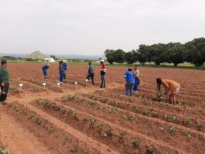 NA GO NA LE BOMMETLA-ŠAPO-LA-TLALA TOMPI SELEKA? - Seipone Madireng